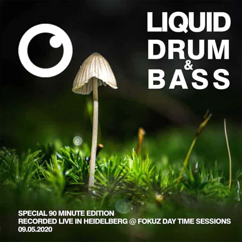 Liquid Drum and Bass Sessions #30 : Dreazz [September2020] - Fokuz ...